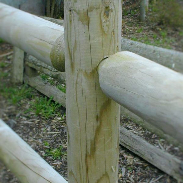 Post & Rail Fencing – Nova Tree
